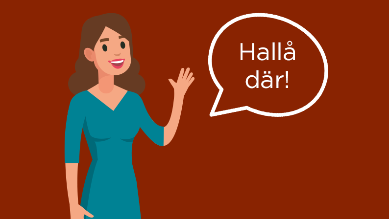 Hallå där programutvecklarna - Briljant Ekonomisystem